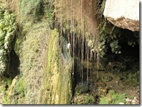 Kuwait to Beirut on a BMW R1150GS: Moses Spring